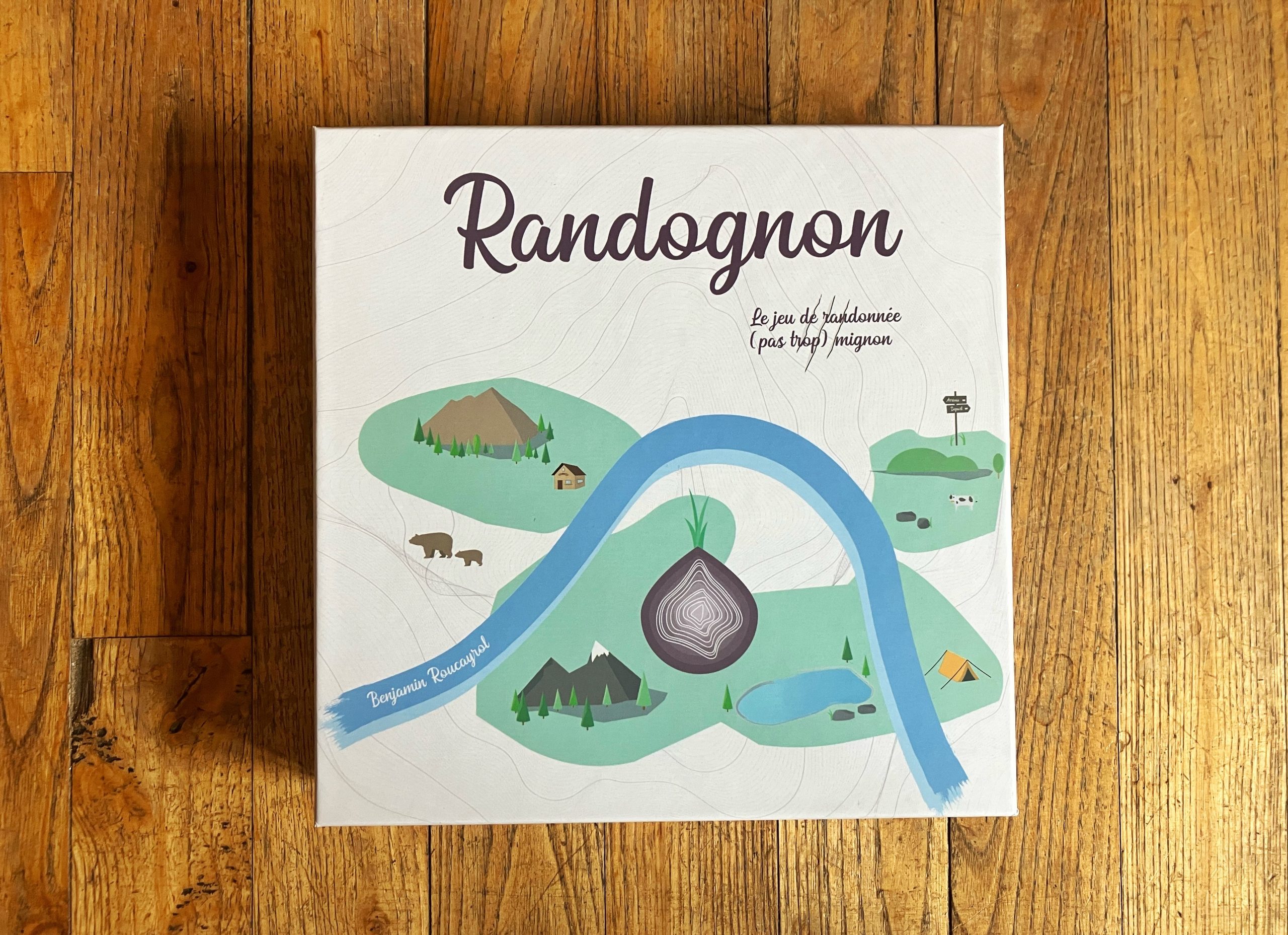 Randognon - Jeu de société - Le Meeple Barbu